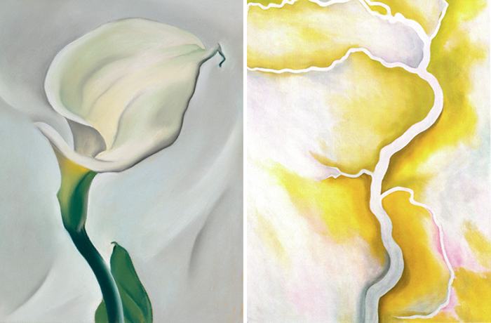 Georgia O Keeffe White Flower Painting | Best Flower Site