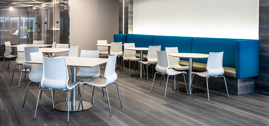 Berkeley Research Group | Project Profiles | Knoll