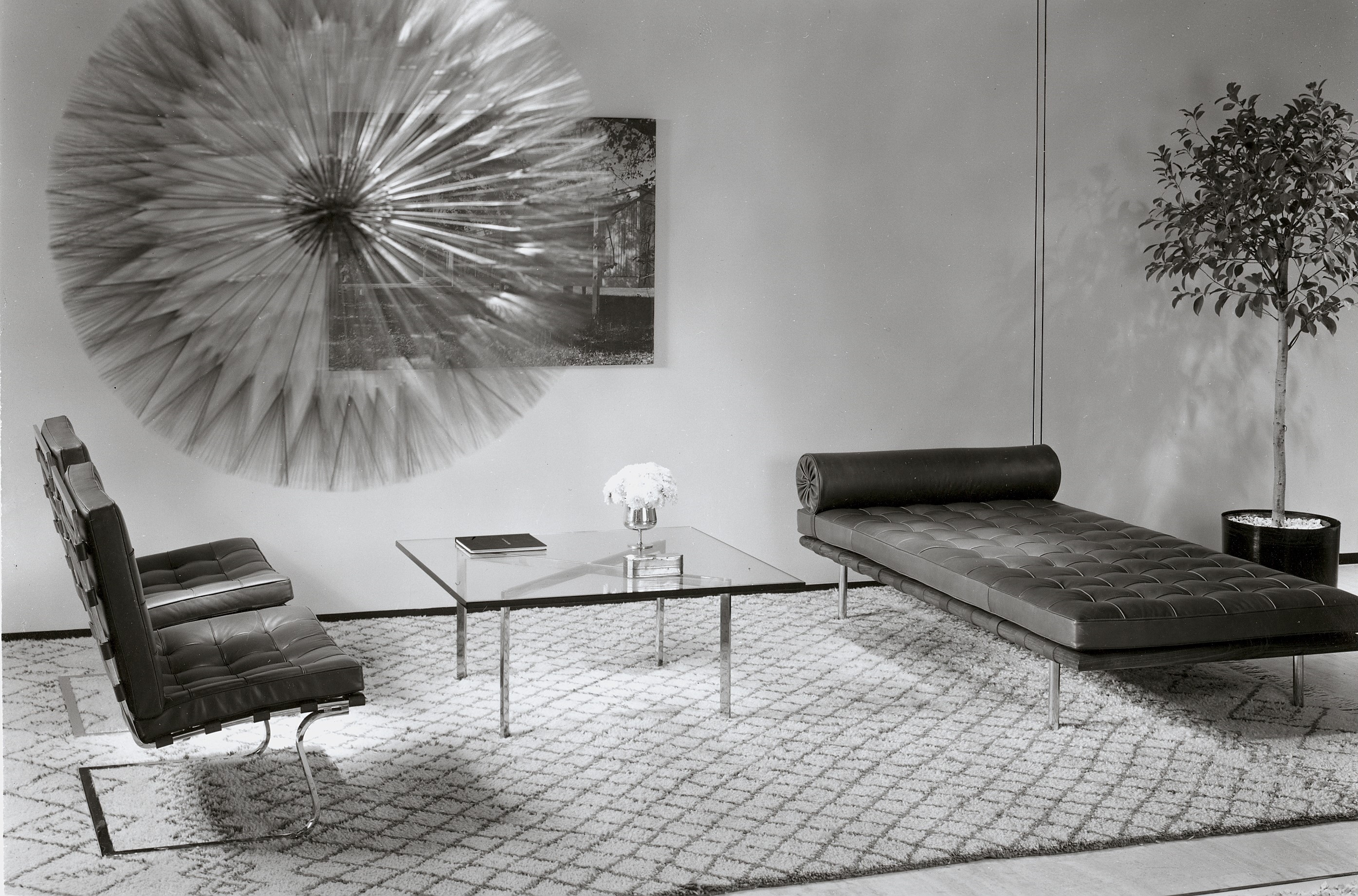 Tugendhat Chair - Original Design | Knoll