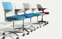 Presenting Ollo - Knoll